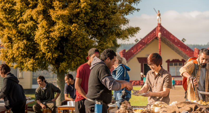Study In New Zealand